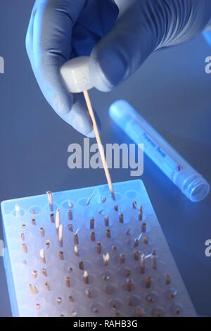 Federal investigators examining forensic evidence and autopsy reports ...