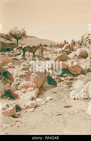 Ain Musa the Spring of Moses Petra Jordan Where moses got water from ...