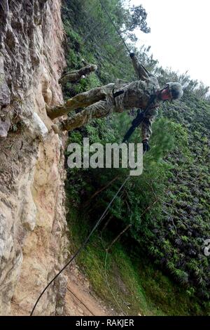 Seabees and Marines conduct jungle warfare training at the Jungle ...