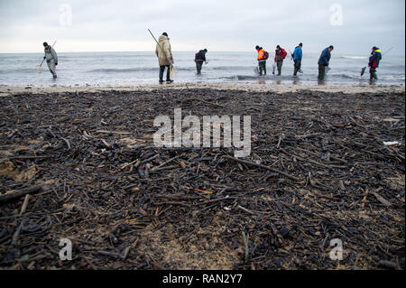 Gdansk, Poland. 4th January, 2019. People looking for Baltic amber on the beach after the storm ...