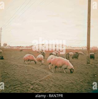 Beehive homes in Syria Stock Photo - Alamy