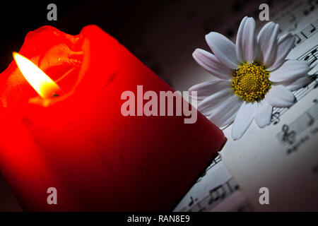 Flower Daisy Music Notes Sheets and Candle Light Stock Photo - Alamy