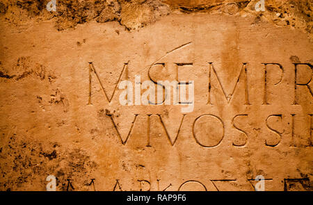 Historical Symbols Signs Alphabets of Ancient Egypt Period Stock Photo ...