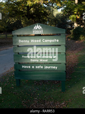 Denny Wood The New Forest Hampshire England UK Stock Photo - Alamy