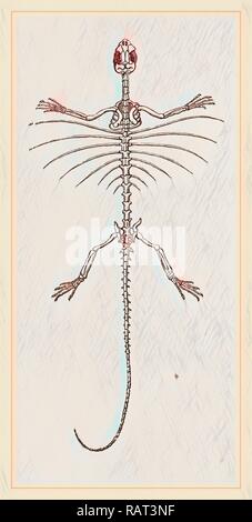 Fringed Dragon. Reimagined by Gibon. Classic art with a modern twist ...