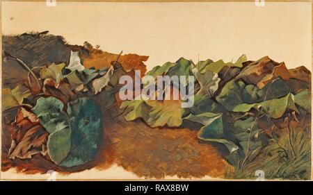 Large Butterburr Leaves and Grass. Gilles-François-Joseph Closson ...