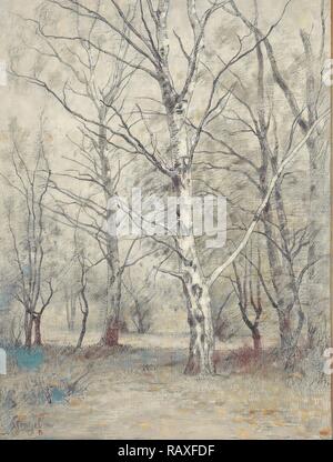 Forest of birch trees, Alphonse Stengelin, 1875 - 1910 Stock Photo - Alamy