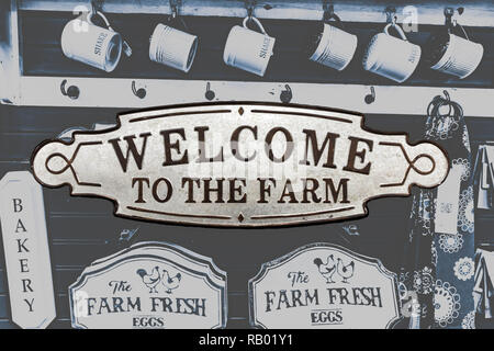 Buc-ee's a chain of convenience stores located in Texas. The company is ...