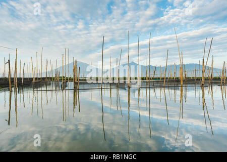 Bamboo stick reflection on clear water of Rawa Pening lake Stock Photo ...