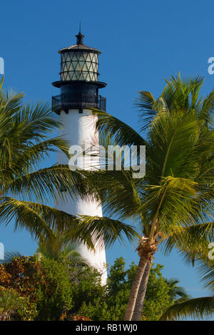 Cape Florida Lighthouse, Palm trees, day time - Key Biscayne Stock ...