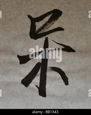 The Chinese word means "Dull, foolish, stupid, blank, wooden, slow ...