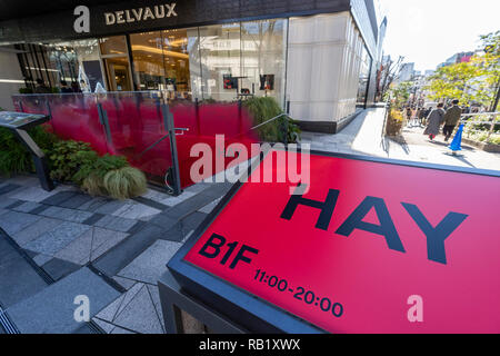 HAY TOKYO, GYRE, Shibuya-Ku, Tokyo, Japan Stock Photo - Alamy
