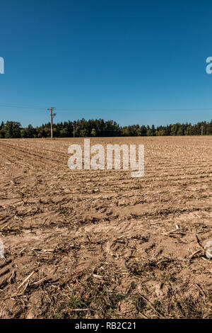 Big empty corn field with little forest Stock Photo - Alamy