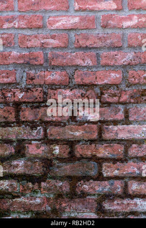 Grunge texture. Mortar-covered red brick wall with very old and cracked ...