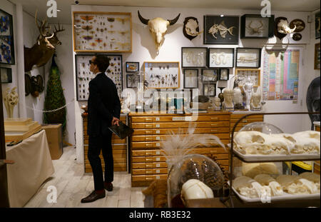 Customers inside of the Evolution Store in Soho.Lower Manhattan.New ...