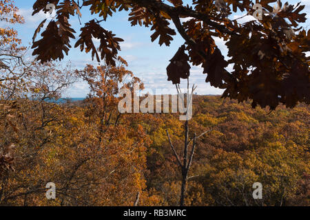 Autumn in Indiana Dunes State Park Stock Photo - Alamy