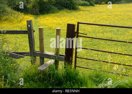 Wooden stile into a field on a public footpath in West Sussex, England ...