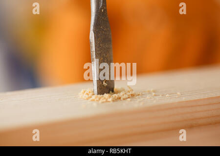 Flat drill bit make hole in drilling a hole in a wood plank Stock Photo ...