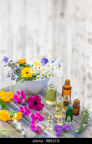 Composition with bottles of essential oil, blueberry and pomegranate on ...