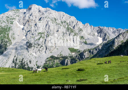 Komovi mountain, Montenegro Stock Photo - Alamy