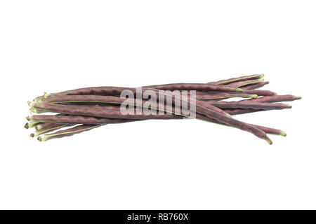 purple yardlong bean isolated on white background Stock Photo - Alamy