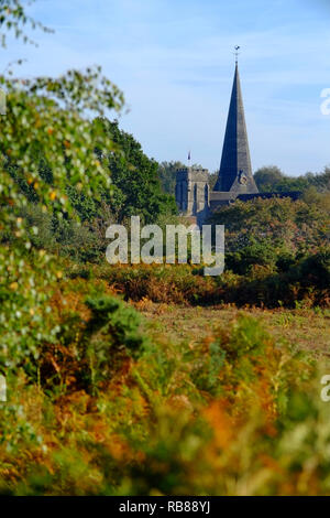 Chailey Common nature reserve, East Sussex. UK. 5th October 2018 ...