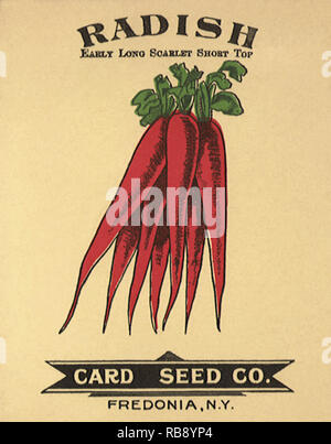 Radish Seed Packet Stock Photo - Alamy
