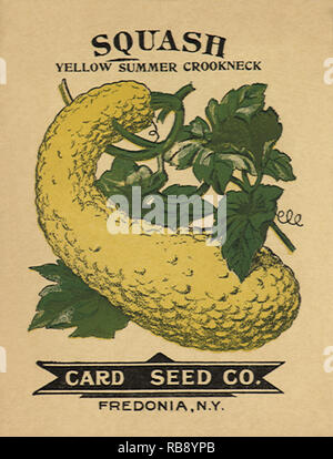 Squash Seed Packet Stock Photo - Alamy