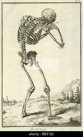 Skeleton Hunched Over Stock Photo - Alamy