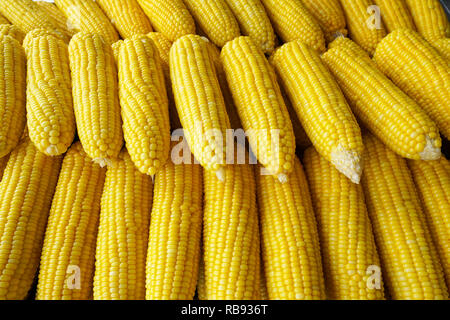 Boil the corn Stock Photo - Alamy