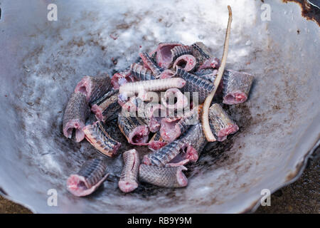 Snake meat in the pan for cooking Stock Photo - Alamy