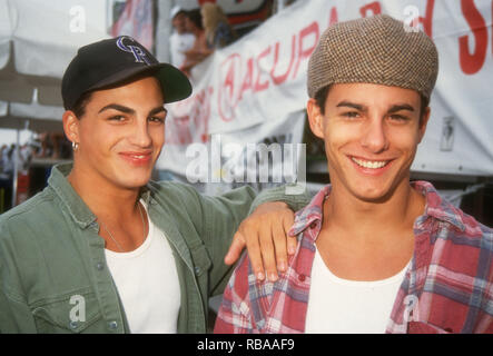 MALIBU, CA - JULY 25: (L-R) Actors/brothers Chris Cade and Michael Cade ...