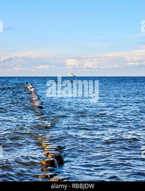 Seagulls on a groyne in the Baltic Sea in black and white. Waves and ...