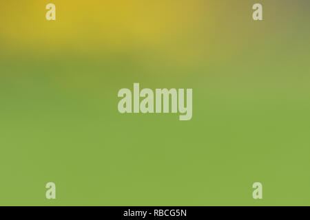 Green based backgrounds Stock Photo - Alamy