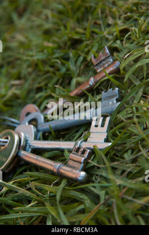 A bunch of old iron keys lying on The forest moss, close-up Stock Photo ...