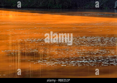 Seney wetlands at dawn in early summer, Seney National Wildlife Refuge ...
