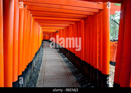 Inari, the Shinto fox deity, at the Fushimi Inari Shrine at Kyoto Stock ...