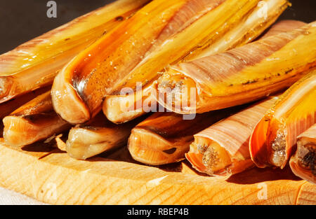 Grooved Razor Clam Solen marginatus shells on sand Stock Photo - Alamy