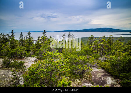 Schoodic Head Point in Acadia National Park, Maine Stock Photo - Alamy