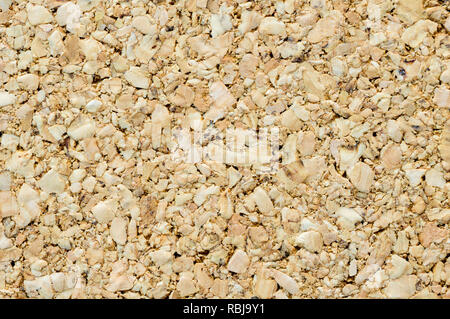 Texture of cork board wood surface, natural wooden decorative panel ...