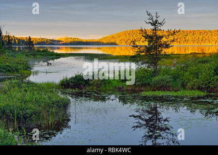 Halfway Lake at dawn, Halfway Lake Provincial Park, Ontario, Canada ...