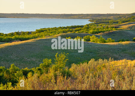 Buffalo Pound Lake and shoreline at dawn, Buffalo Pound Provincial Park ...