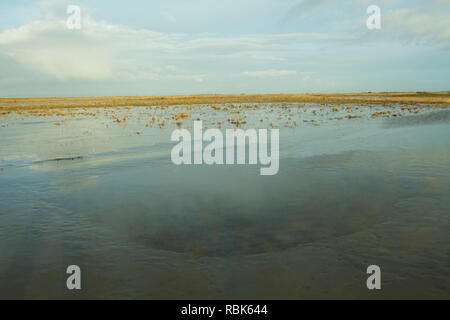 Steart Marshes Nature Reserve, agricultural land transformed into ...
