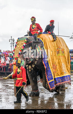 Decorated elephants at Mysore Dussehra celebration or Dasara festival ...