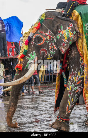 Decorated elephants at Mysore Dussehra celebration or Dasara festival ...