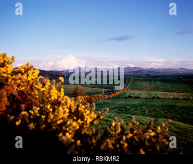 The Mourne Mountains from Slieve Croob Stock Photo - Alamy