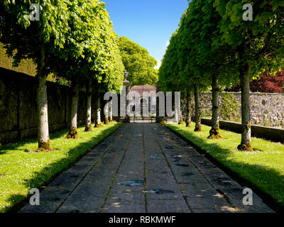 Heywood Gardens, Co Laois, Ireland, Pleached Lime Alley, Edwin Lutyens ...