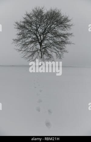 Clausthal, Germany. 11th Jan, 2019. Winter in the Harz mountains ...