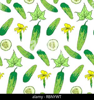 Seamless pattern. Fresh cucumber, whole and slices. Ripe green vegetable cucumber, round slice ...