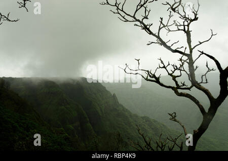 mountain Kolhapur Maharashtra India Asia Stock Photo - Alamy